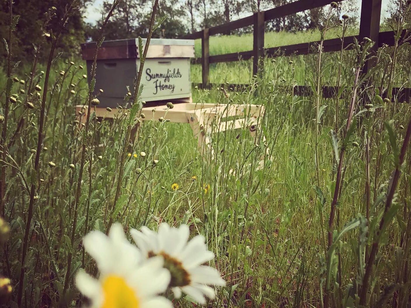 Sunnyfields Honey and Home | Visit East of England