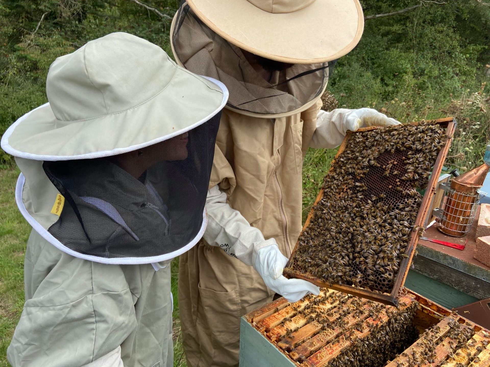 Sunnyfields Honey and Home | Visit East of England