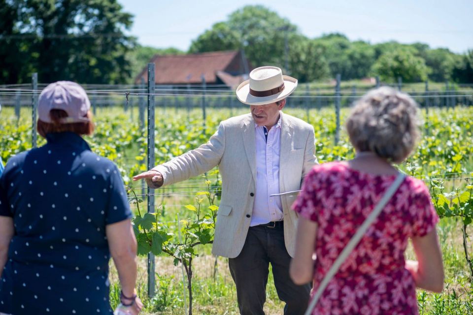 Chet Valley Vineyard | Visit East of England