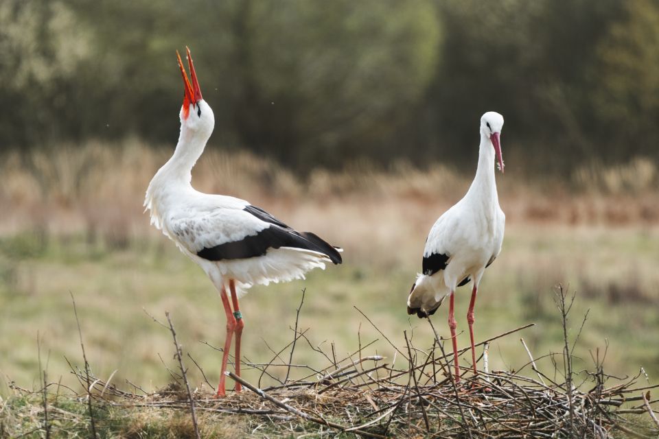 Watatunga Wildlife Reserve | Visit East of England