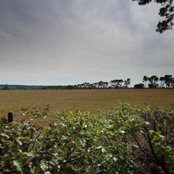 Nature & Wildlife | Visit East of England