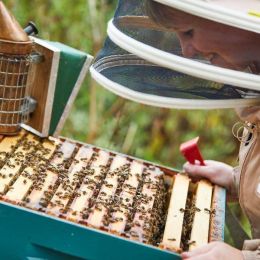 Sunnyfields Honey and Home | Visit Norfolk