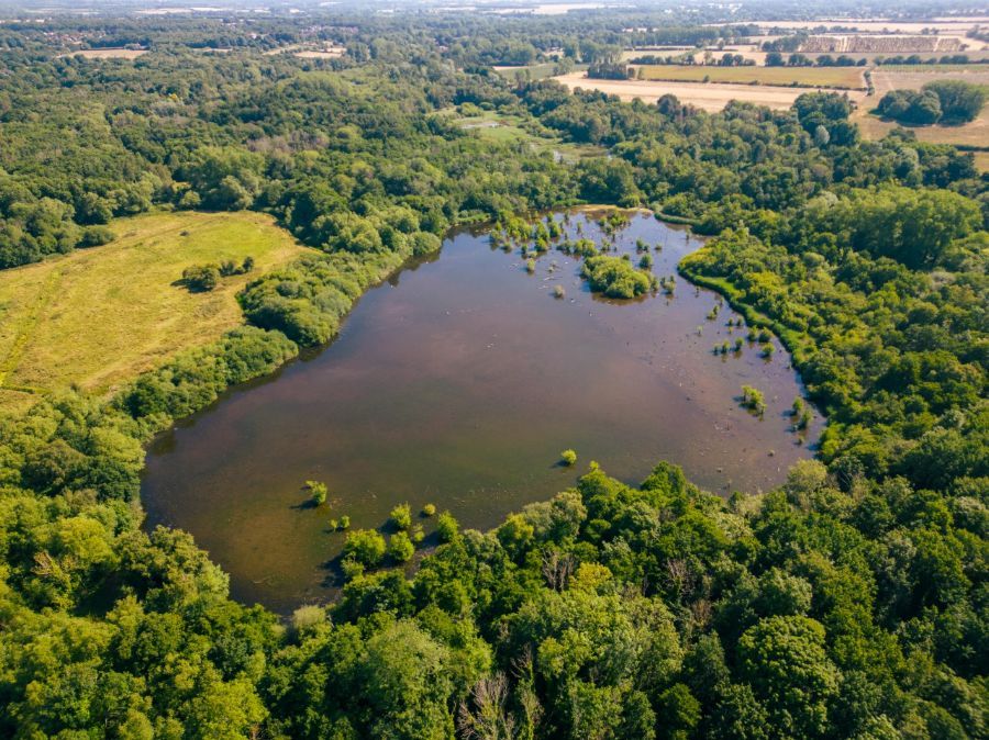 NWT - The Wendling Beck Environment Project - Nature Recovery in the ...