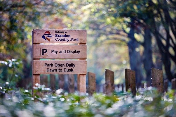 Brandon Country Park | Visit East of England