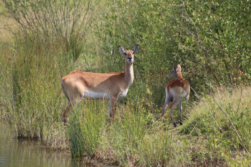 Watatunga Wildlife Reserve | Visit East of England
