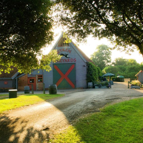 Vineyard | Visit Suffolk