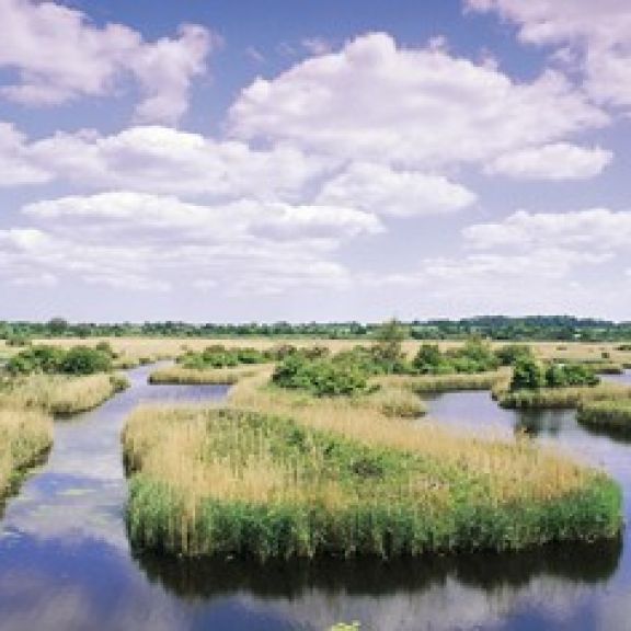 Nature Reserve | Visit East of England