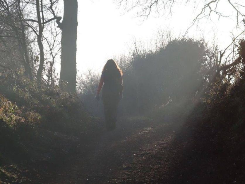 foRest Retreat | Visit East of England