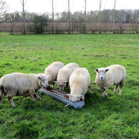 Farm Shop | Visit East of England