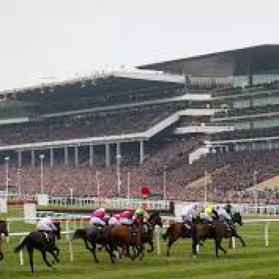 Racecourse | Visit East of England