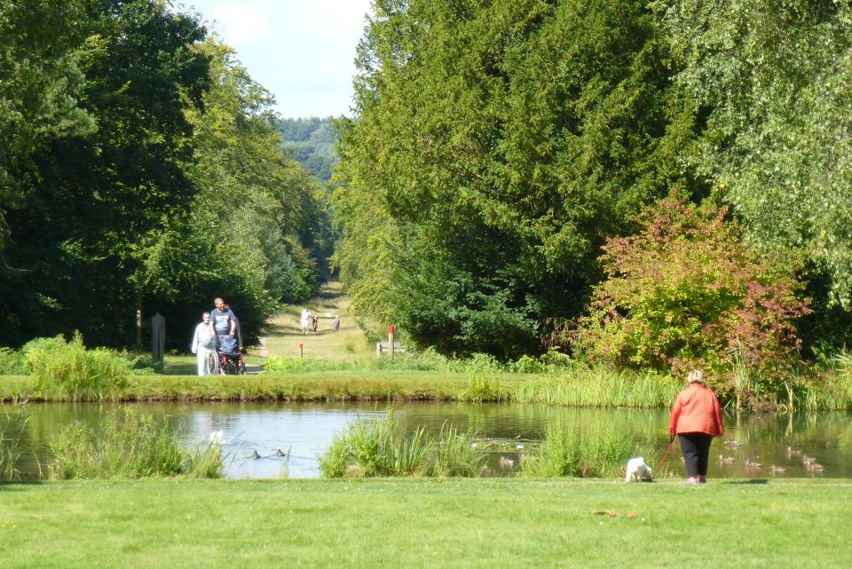 Brandon Country Park | Visit East of England