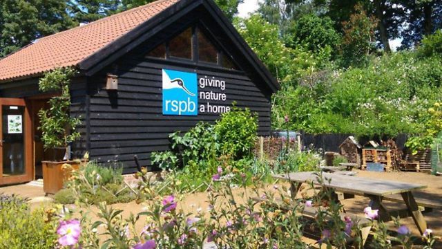 RSPB Flatford Wildlife Garden | Visit East of England