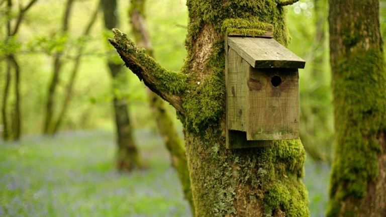 RSPB Flatford Wildlife Garden | Visit East of England