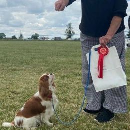 Centre Paws Norfolk | Visit Norfolk